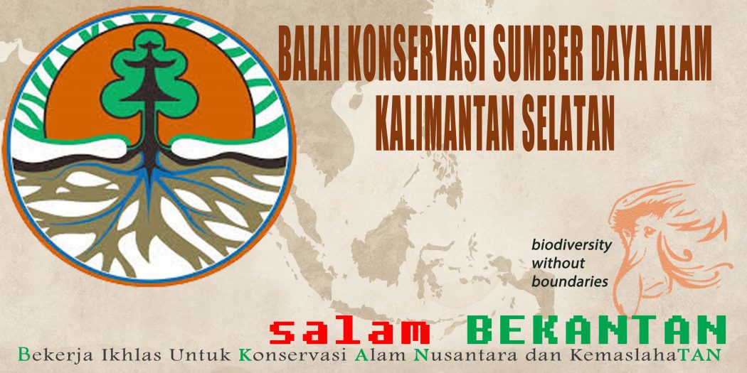 BKSDA Kalimantan Selatan – Salam Bekantan