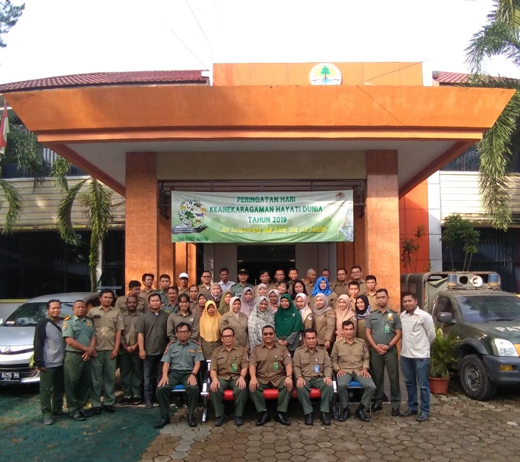 Kandang Transit Satwa Berstandar Internasional di BKSDA Kalimantan ...